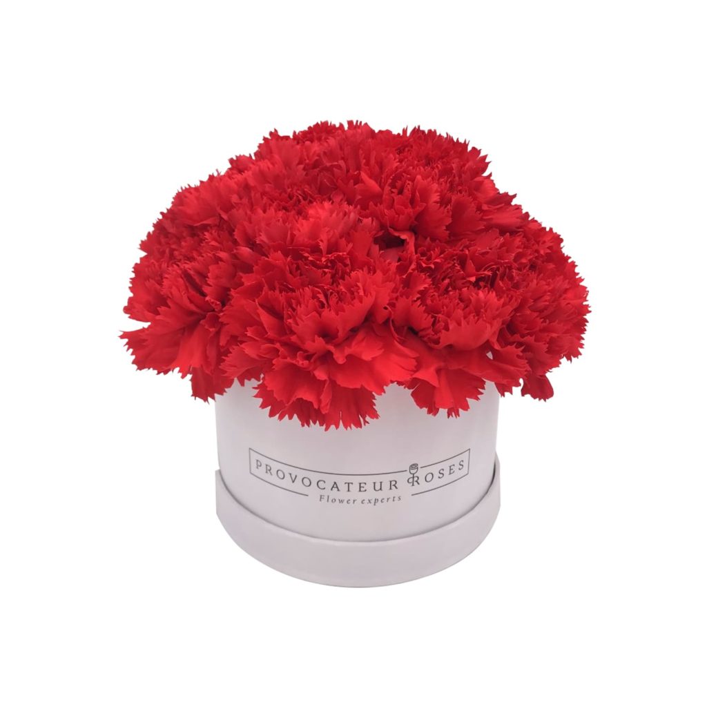 Caja de claveles - Provocateur Roses