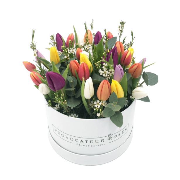 Tulip Box con verdes - Provocateur Roses